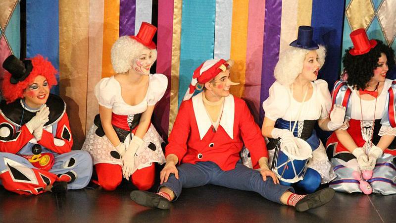 ТЮЗ имени Брянцева поставил театральный рекорд, собрав за кани...